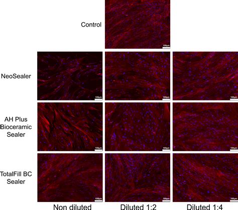 Microscopy Research And Technique Microscopy Journal Wiley Online Library