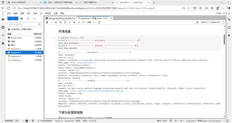 昇思学习营第七期·昇腾开发板 第二次学习打卡 活动打卡 昇思mindspore论坛