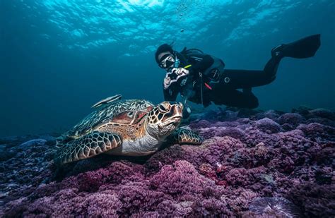 Specialty Deep Diving Deep Diver Specialty Ixxliq