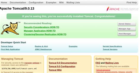 1804 Unknown Version Of Tomcat Was Specified Tomcat 9 Eclipse Java