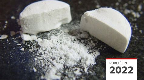 Le Spvq Saisit 50 000 Comprimés De Métamphétamines Radio Canada