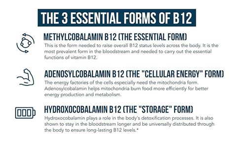 Organic Vitamin B12 5000 Mcg 3 Bioactive B12 Forms Cherry Flavor