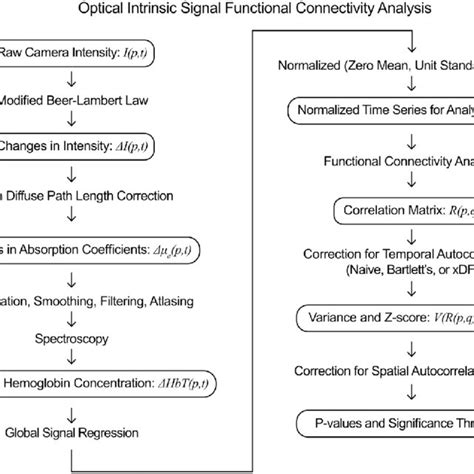 Flowchart Of Data Analysis Including Definitions Of The Variables Used Download Scientific