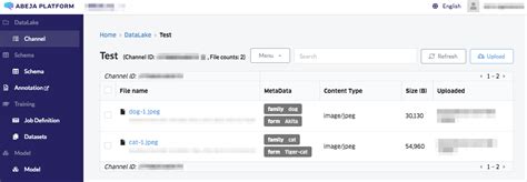 upload file to datalake using cli