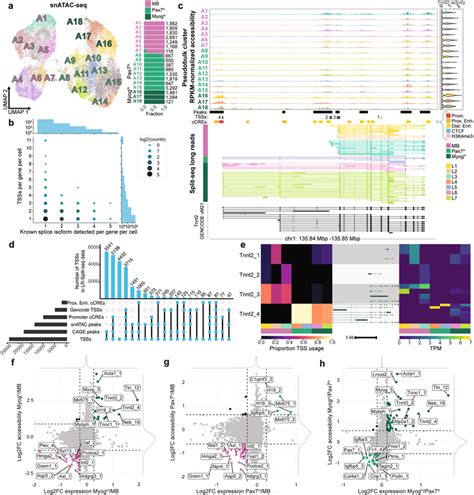 Identification Of Tsss From Lr Split Seq And Integration With