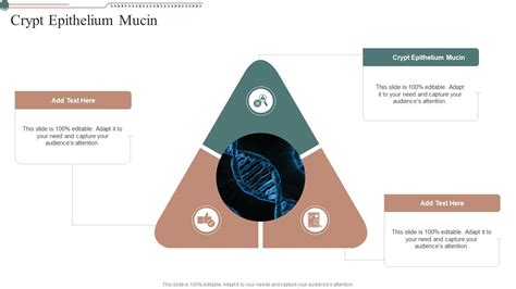 crypt epithelium mucin in ppt powerpoint presentation slide templates cpp ppt slide