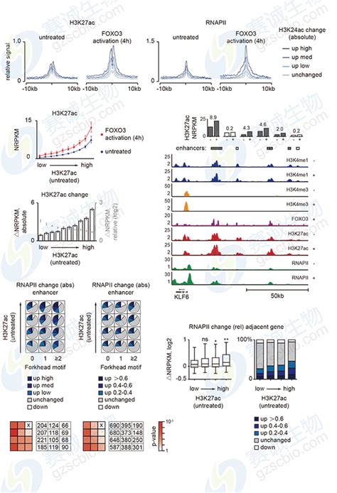 Figure的制作软件 技术专题 停用 广州赛诚生物科技有限公司 服务于您的核心利益！