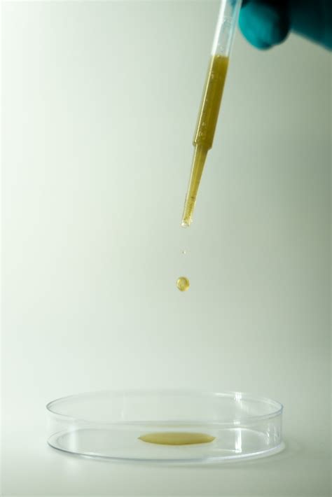 Bigtrea Kratom Lab Testing