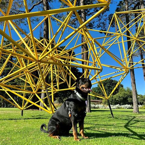 Sisitha Vithanage Posted On Linkedin