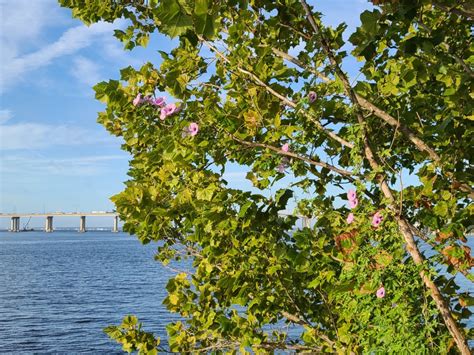 How To Export A Csv File In Powershell