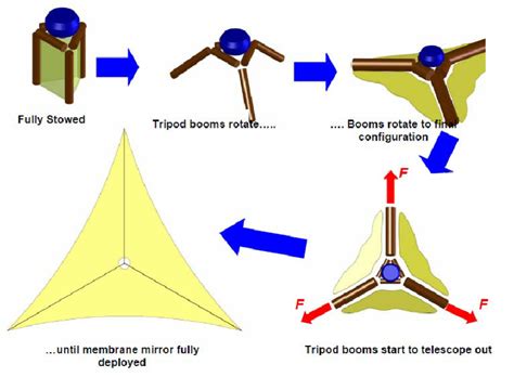 Deployment Sequence Download Scientific Diagram