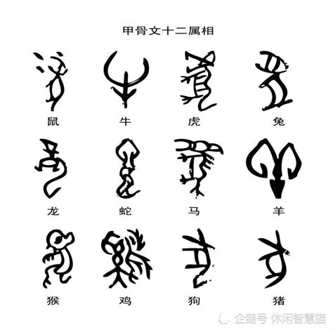 书画收藏之甲骨文 腾讯新闻