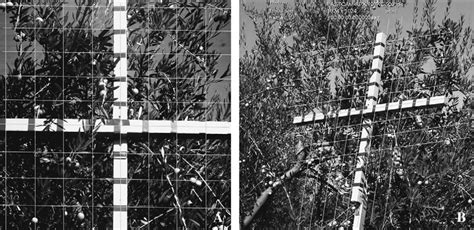 Stereo High Speed Camera Images Focused On The Indexed Target And Grid Download Scientific