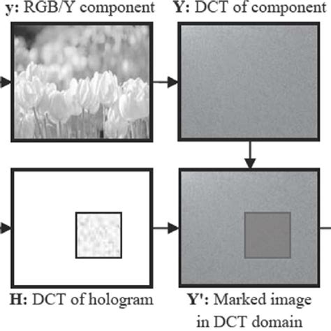 Color Online Hologram Based Watermark Embedding Process Download