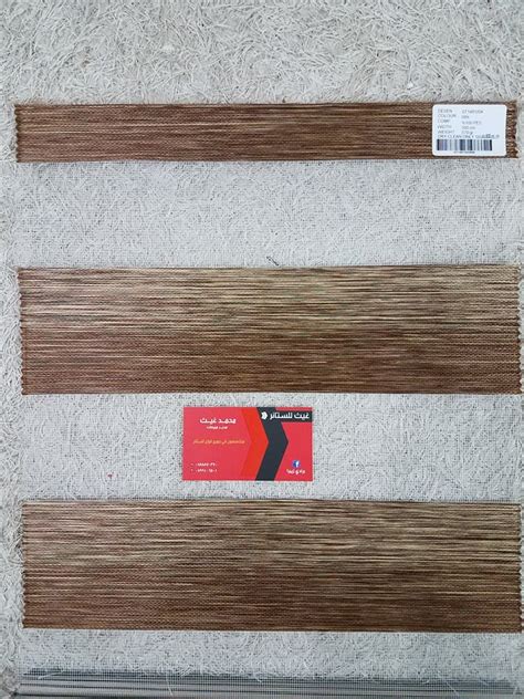 برادي زيبرا