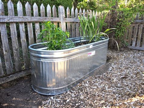 Oval Metal Water Trough At Tracy Jacoby Blog
