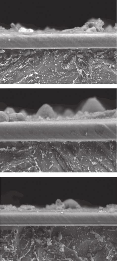 Cross Sectional View Of The Coated Specimens A Tinmonolayer B