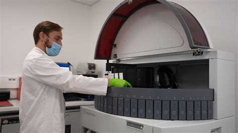 Digital Pathology Services I Immuno Oncology Cro I Quantitative