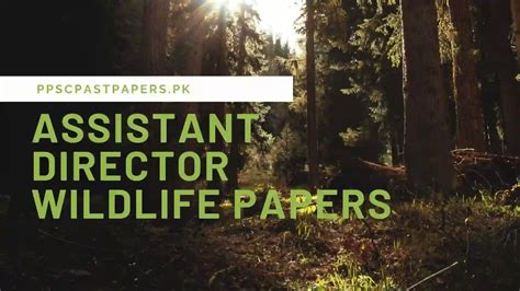 Assistant Director Wildlife Ppsc Past Papers Jobs 2024