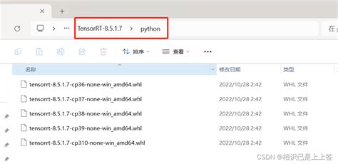 yolov8目标检测tensorrt加速 yolov8 tensorrt csdn博客