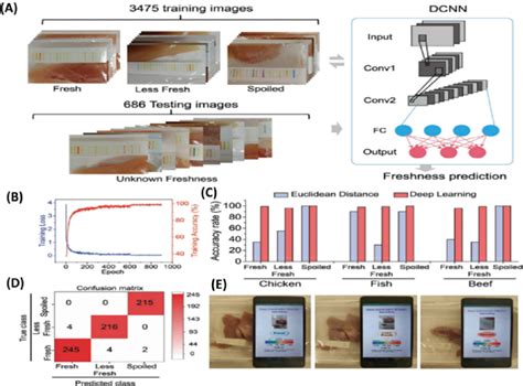 A Barcode Recognition By Dcnn With Its Input Multiple Convolutions Download Scientific