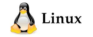 Kill Commands In Linux The Perfect Guide On How To Use It