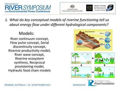 Food Web Responses To Hydrologic Regimes In Floodplain Rivers Ppt