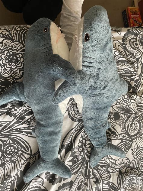 Blahaj buddies (me and my best friends blahaj :D) : r/BLAHAJ