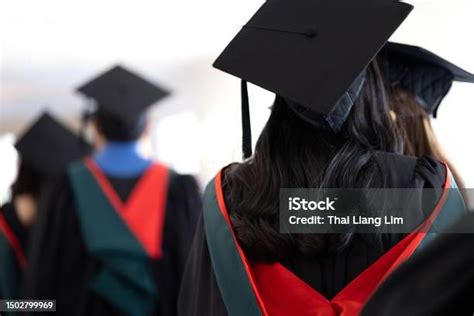 대학 졸업생들의 성공적인 졸업식에서 졸업 모자를 클로즈업한 후면 사진 교육에 대한 스톡 사진 및 기타 이미지 교육 군중