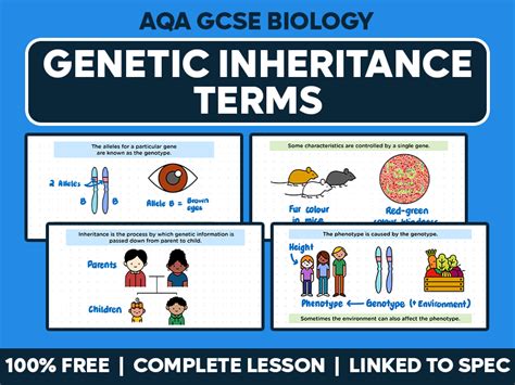 Gcse Aqa Biology Complete Lesson Genetic Inheritance Terms Teaching