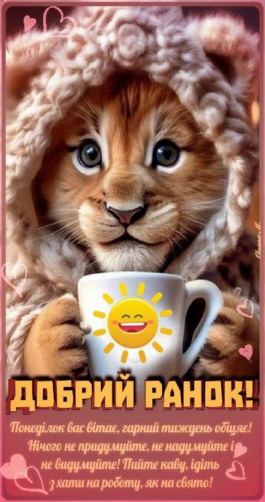 Добрий ранок🐯☕️ понеділок