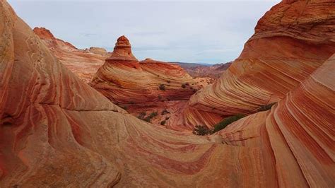 Encoder Decoder Long Short Term Memory Networks