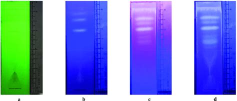 Thin Layer Chromatography Of Shadanga Paniya A Thin Layer Download Scientific Diagram