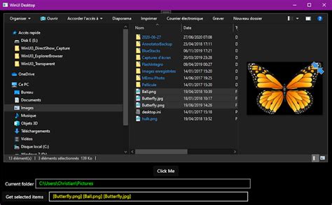 Question How To Add Based UI Controls Like ExplorerBrowser To WinUI Issue