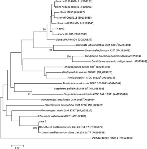 Multiple Sequence Alignments Carried Out With Clustalx Software And