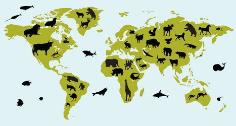 World Wildlife Map Continents With Typical Fauna