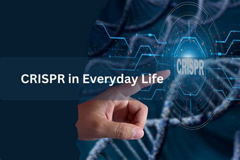 6 Surprising Applications Of Crispr In Everyday Life Nirdosh Jagota
