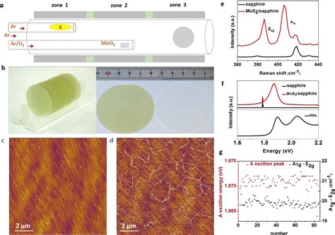 Figure 1 From Wafer Scale Growth And Transfer Of Highly Oriented