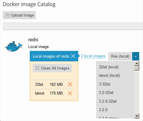 Using Docker Plesk Obsidian Documentation