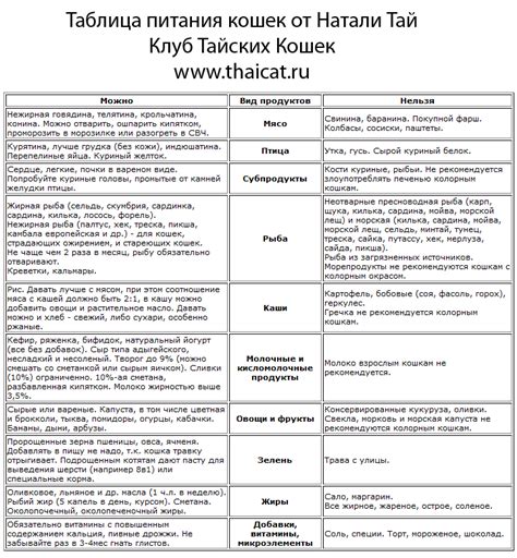 Правильное Питание Котенка 2 Месяца — Похудение Диета Правильное Питание
