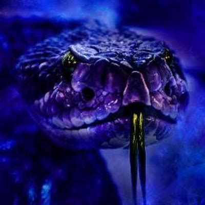 Redheadwinter On Twitter Wisconsin Tiff Those Boobs Twitter