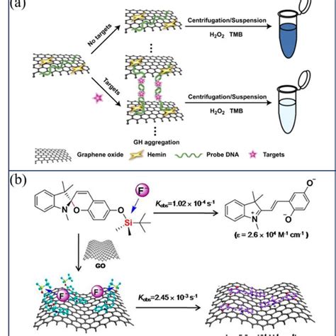 A Schematic Illustration Of Procedures For Hg 2 Detection Reprinted