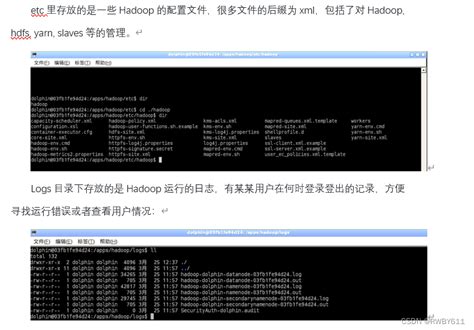 hadoop hdfs基本操作和入门知识 为什么不直接用本地文件系统 而要用 hdfs 文件系统 csdn博客