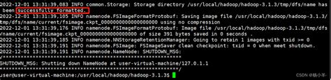 linux安装hadoop 3 1 3 单机 伪分布（图文详细版） hadoop3 1 3单机安装部署 csdn博客