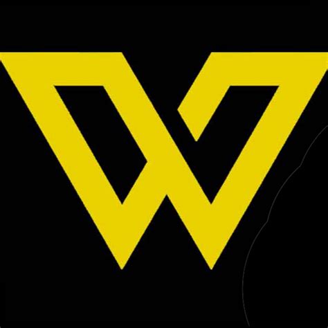 Wisdom Infosoft Youtube