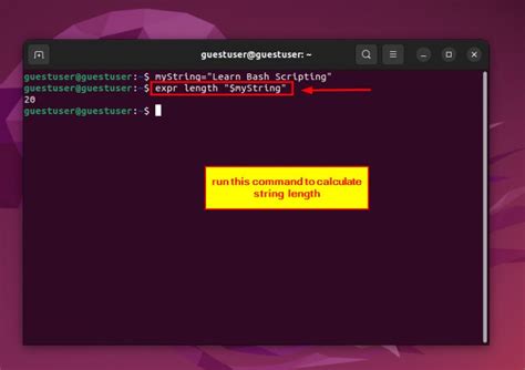 How To Find Bash String Length 5 Best Methods