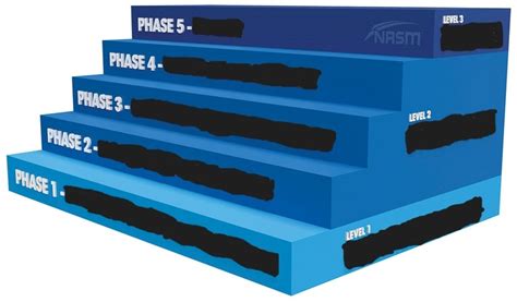 OPT Model NASM Diagram Quizlet