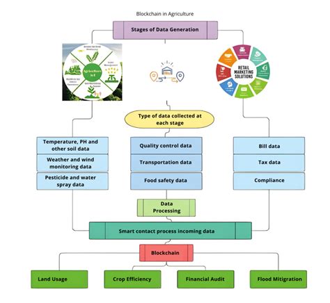 How Does Blockchain In Agriculture Transform The Industry