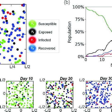 System Setup Of The Cdd Seir Model A Schematic Diagram Of A