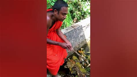 කුඩා ජල විදුලි බලාගාර වලින් වෙන හානිය දන්නවද Youtube